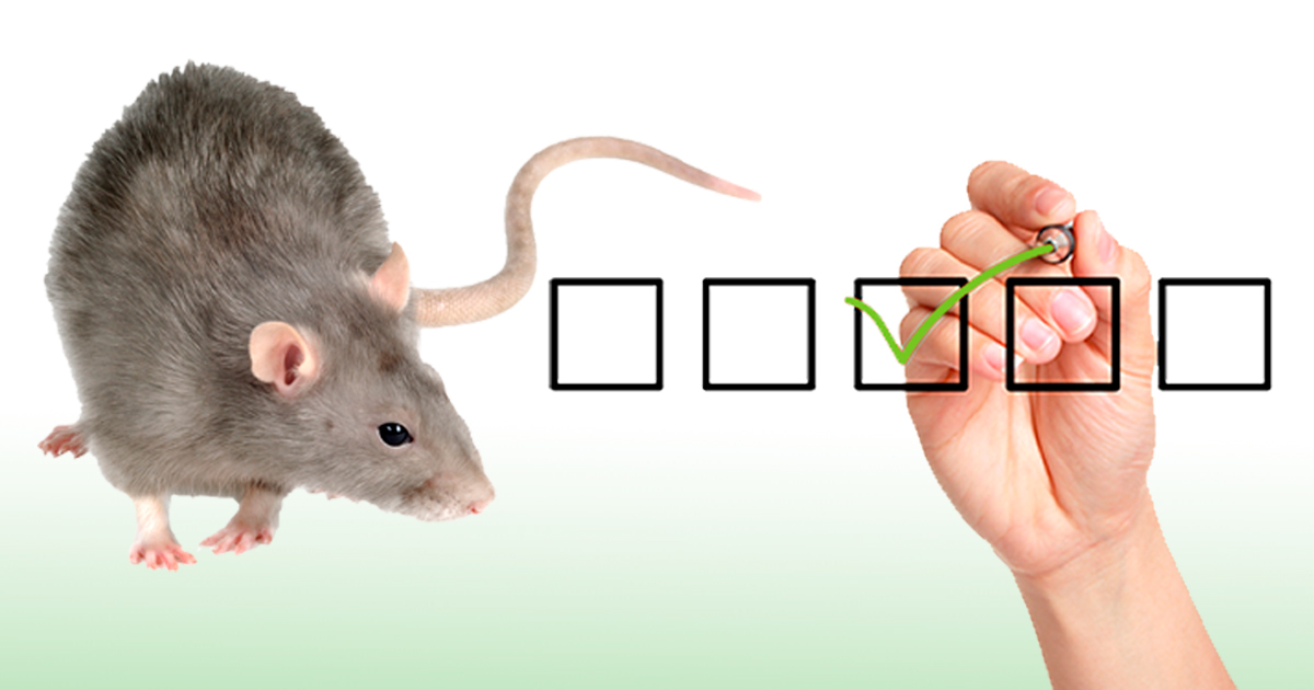 Certificaciones TTCB - Terminal Terrestre de Carga